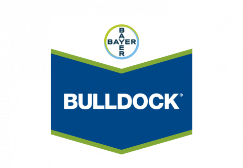 BULLDOCK - Dekalpar