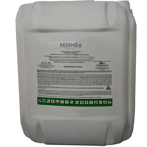 KESSHÓ 50 - Dekalpar