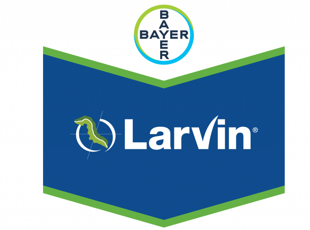 LARVIN - Dekalpar