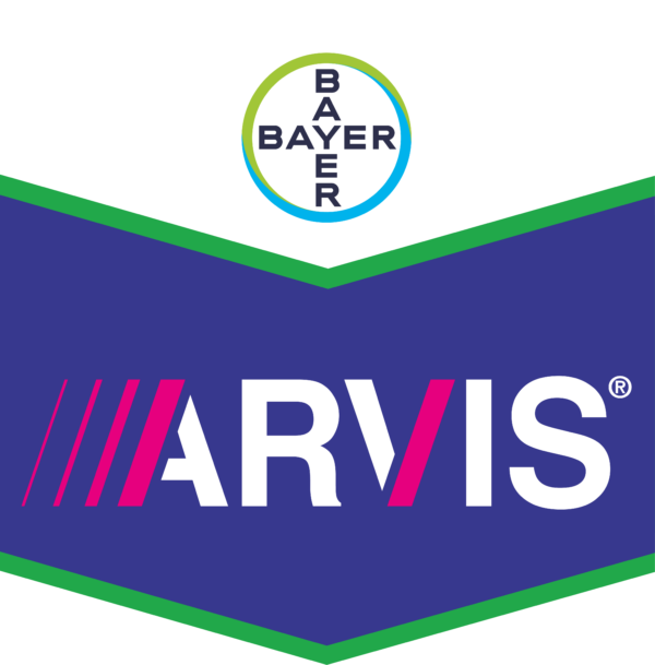 ARVIS - Dekalpar